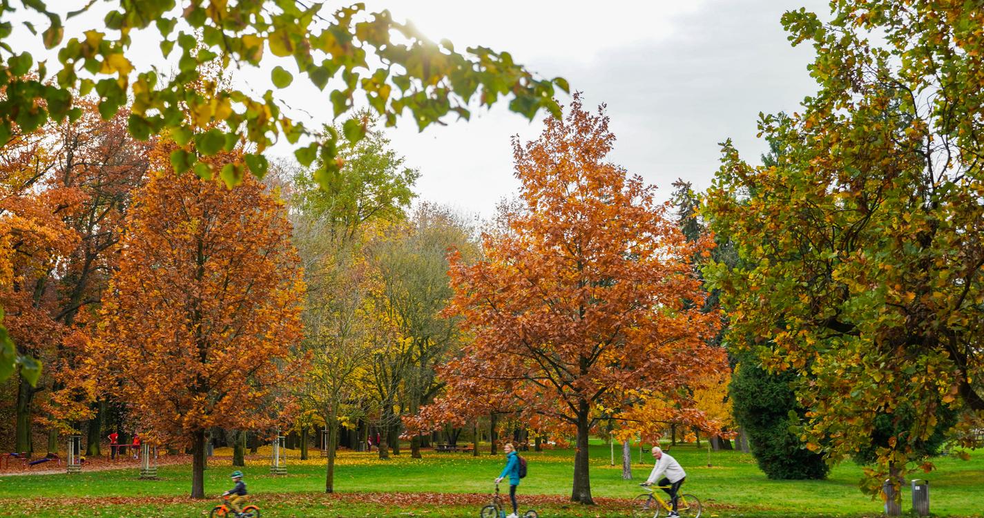 Stromovka - Prague's Largest Park